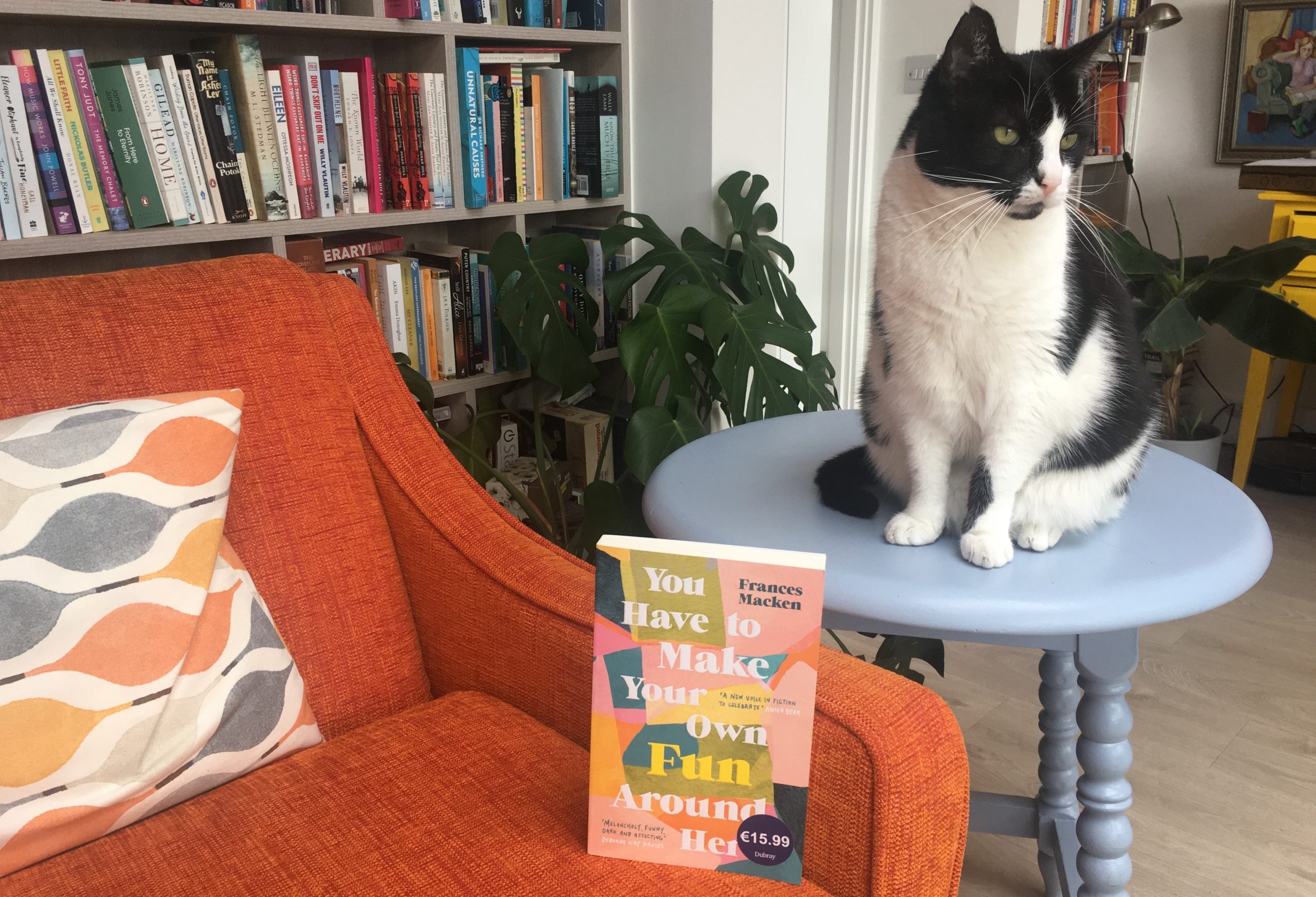 Meet the Author: Frances Macken - Dublog