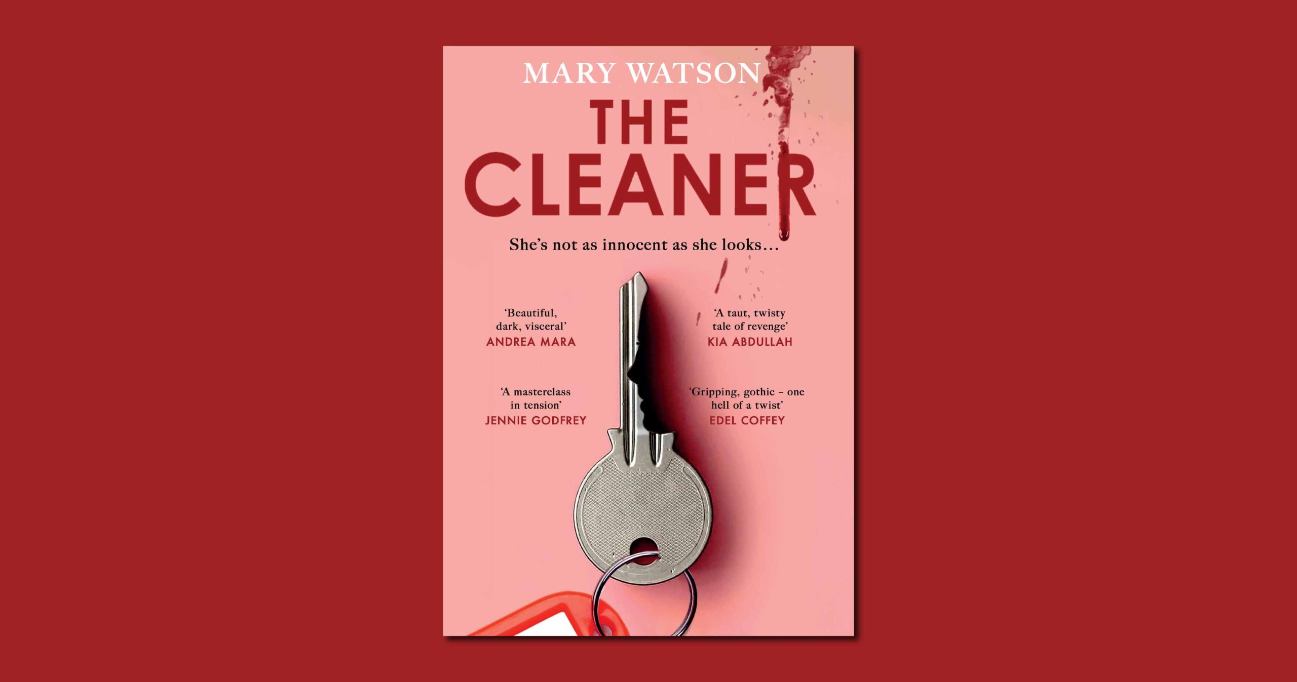 The Cleaner by Mary Watson - Dublog