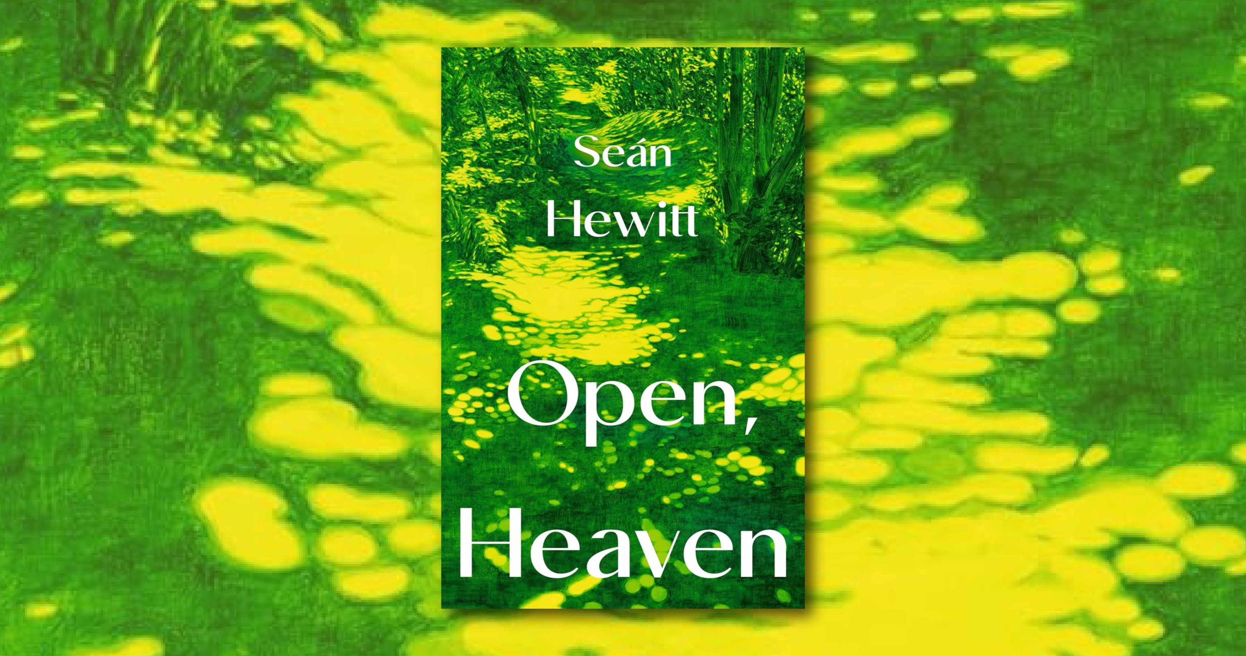 Open, Heaven by Seán Hewitt - Dublog